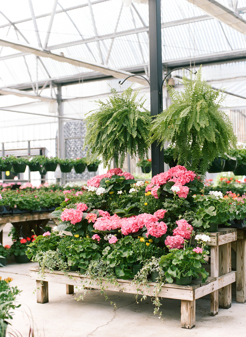 Garden » Abide A While